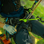 Notch Catalyst Harness | CSP Distribution