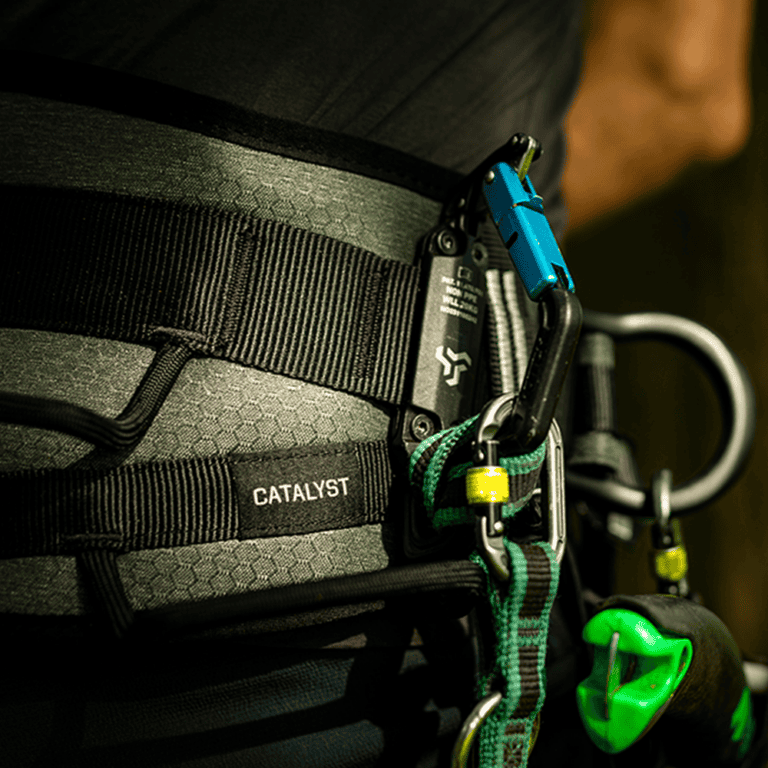 Notch Catalyst Harness | CSP Distribution